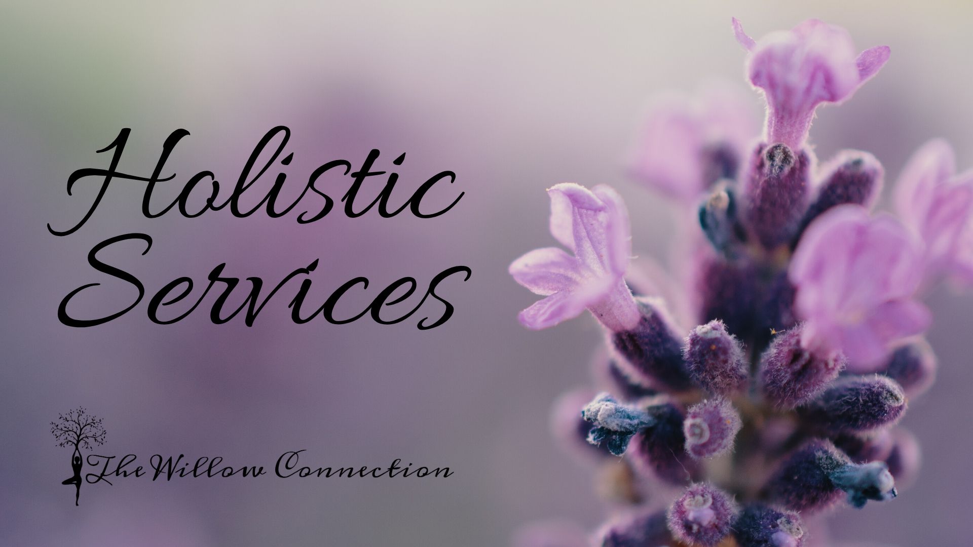 Holistic Services - The Willow Connection